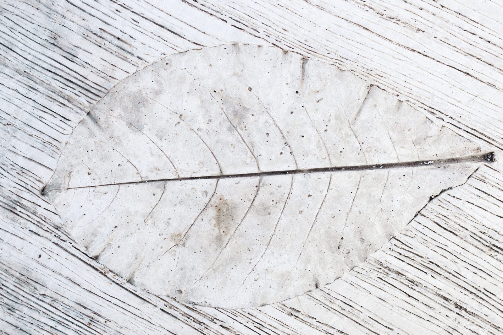 Concrete Flooring - RUM RIVER CONCRETE COMPANY